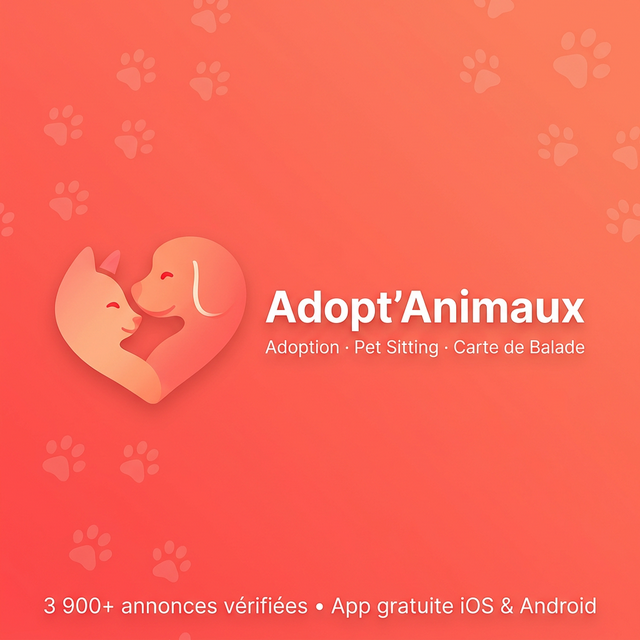 Adopt a Cat in France | Adopt'Animaux
